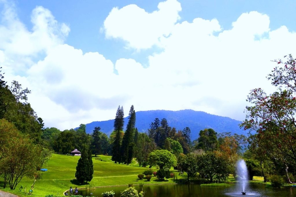 Liburan Dekat Dengan Alam? Yuk ke Tempat Wisata di Cibodas – Ladies.id